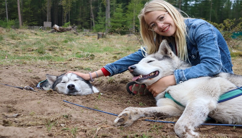Dutch Husky Experience familie uitje | Veluwe met kinderen
