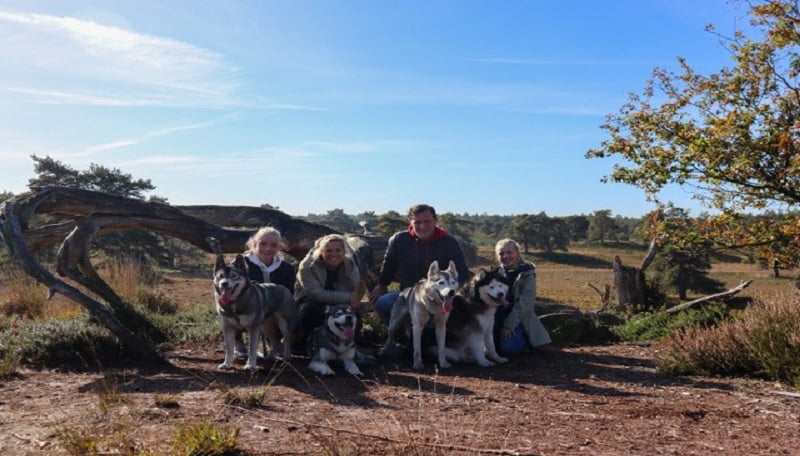 Dutch Husky Experience familie uitje | Veluwe met kinderen